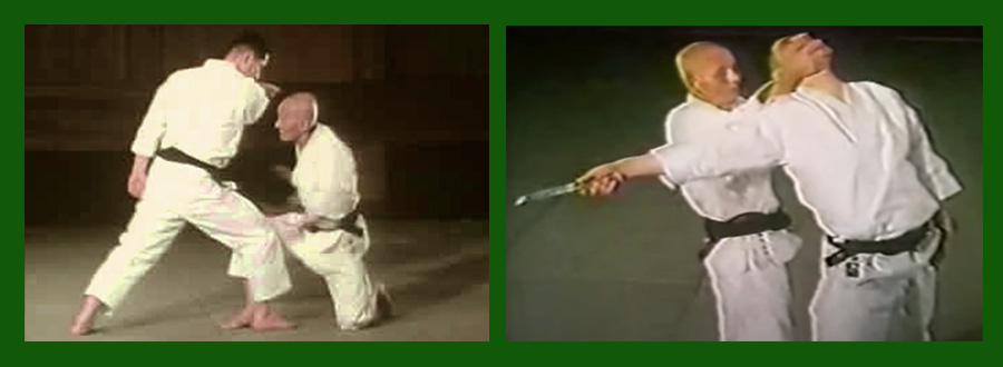 Is Wado really a style of Karate? « Shikukai Wado Ryu Karate in Essex.